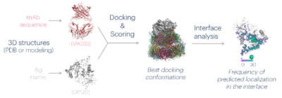 Epitope Mapping Services via HDX-MS - Rapid Novor