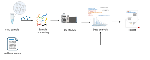 PTM Analysis LC-MS Service