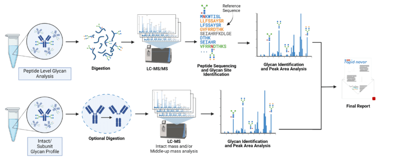 Glycan Analysis Service via LC-MS - Rapid Novor Characterization