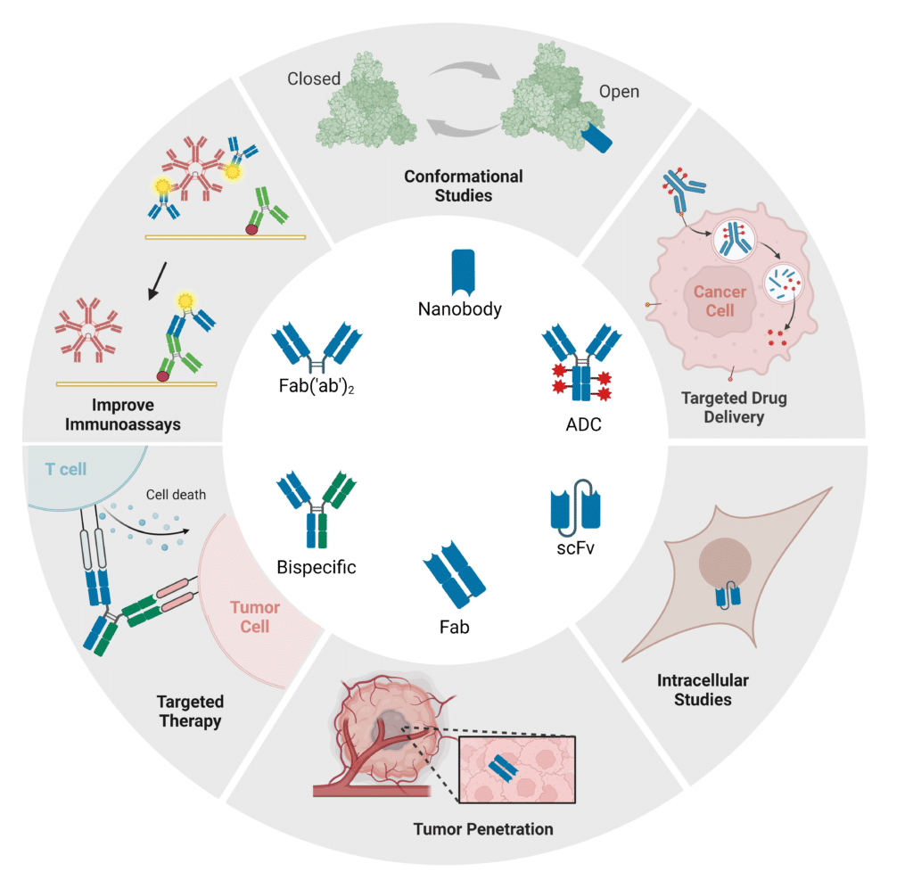 The Power of Recombinant Antibody Cocktails