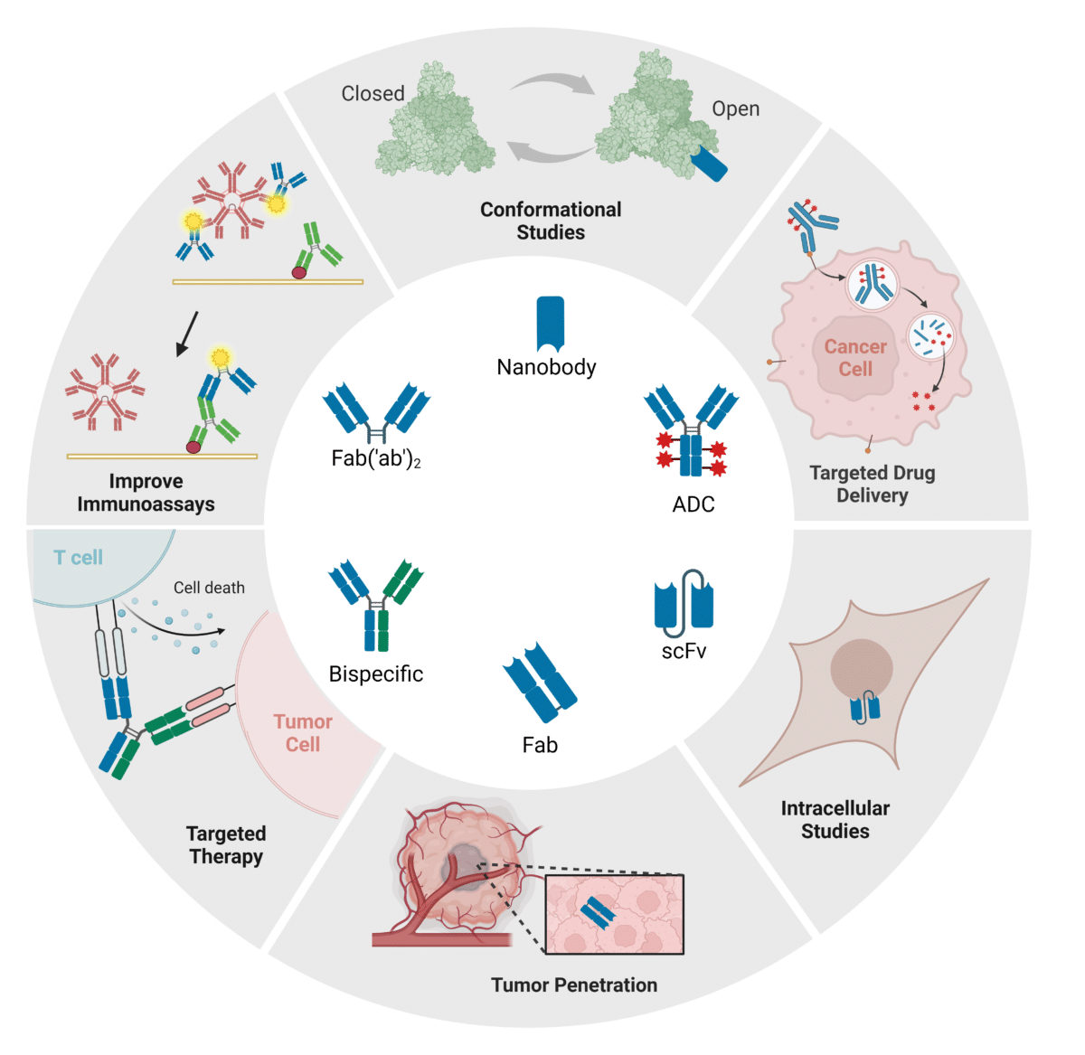 The Power of Recombinant Antibody Cocktails