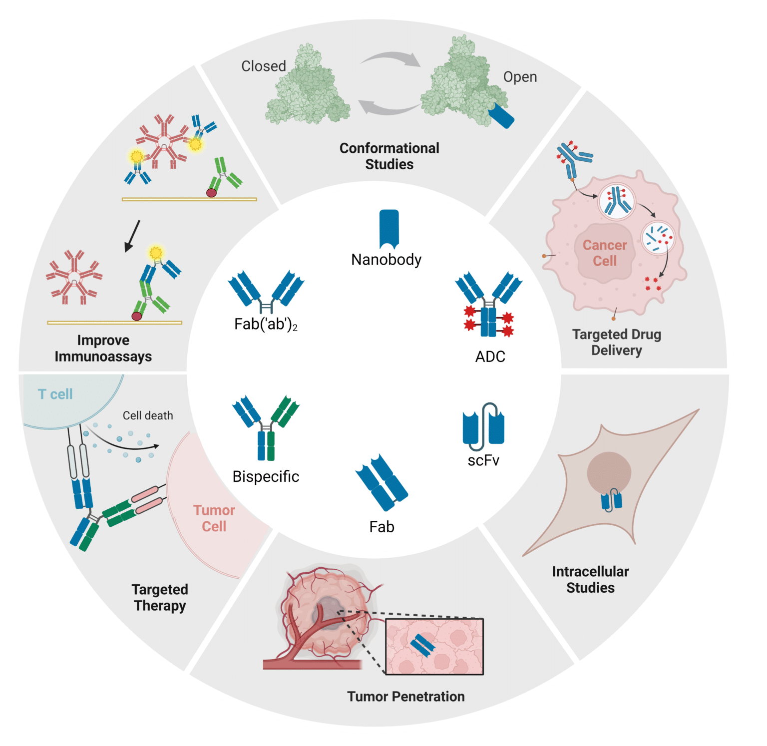 The Power of Recombinant Antibody Cocktails