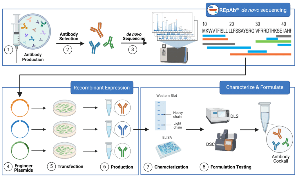 The Power of Recombinant Antibody Cocktails