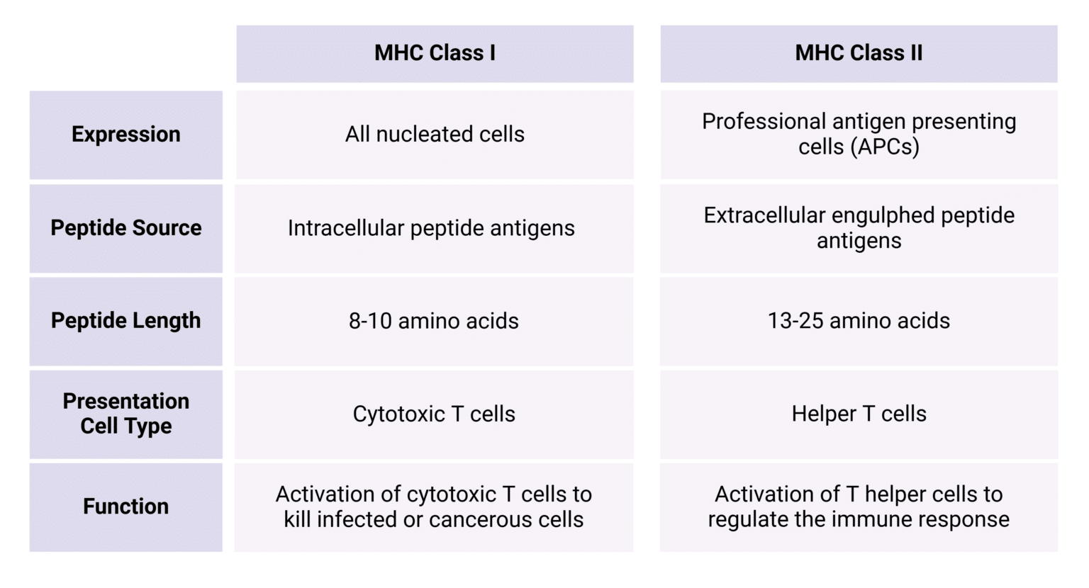 Major Histocompatibility Complex