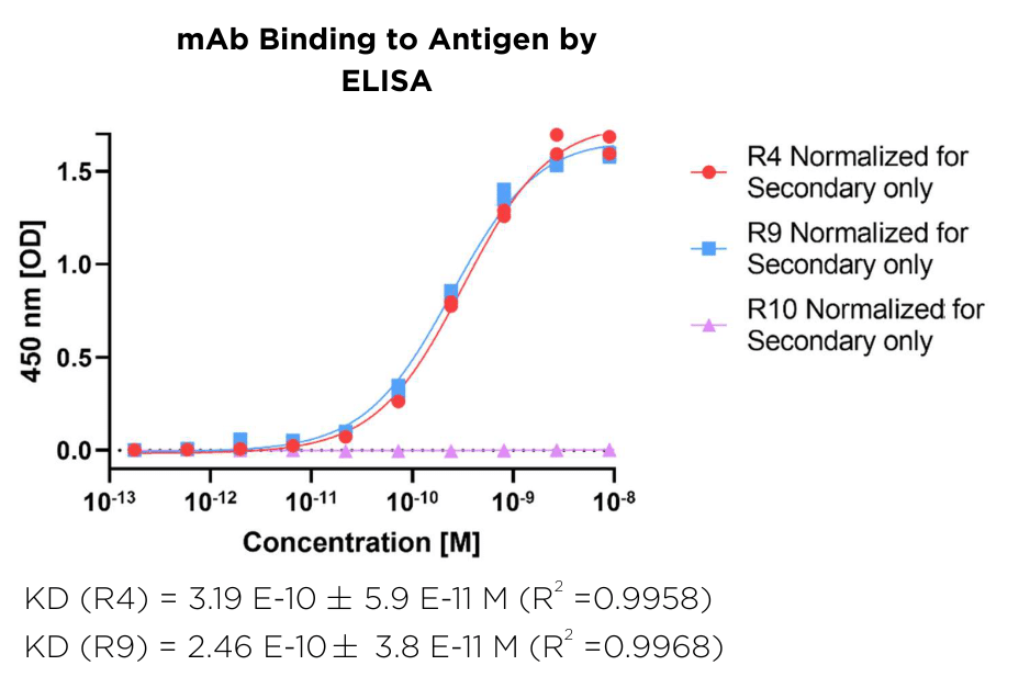 SPR vs. ELISA: SPR Guides Accurate ELISA Results