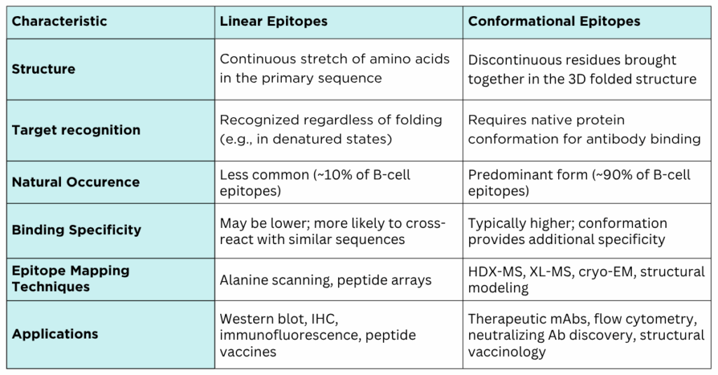 Epitope Mapping Strategies for Linear vs. Conformational Epitopes