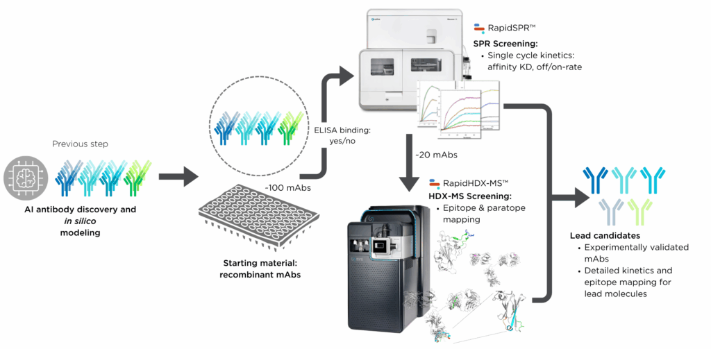 SPR and HDX-MS Based Screening of AI Antibodies - Rapid Novor