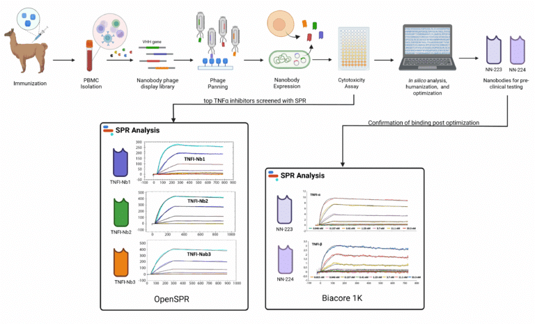 Kinetic Analysis of Nanobodies via SPR